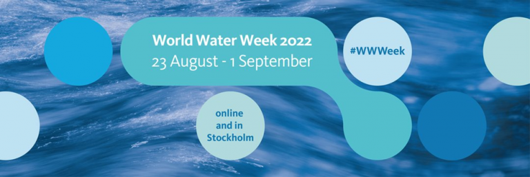 World Water Week 2022 – An Eye-opener on the Value of Safe Water ...